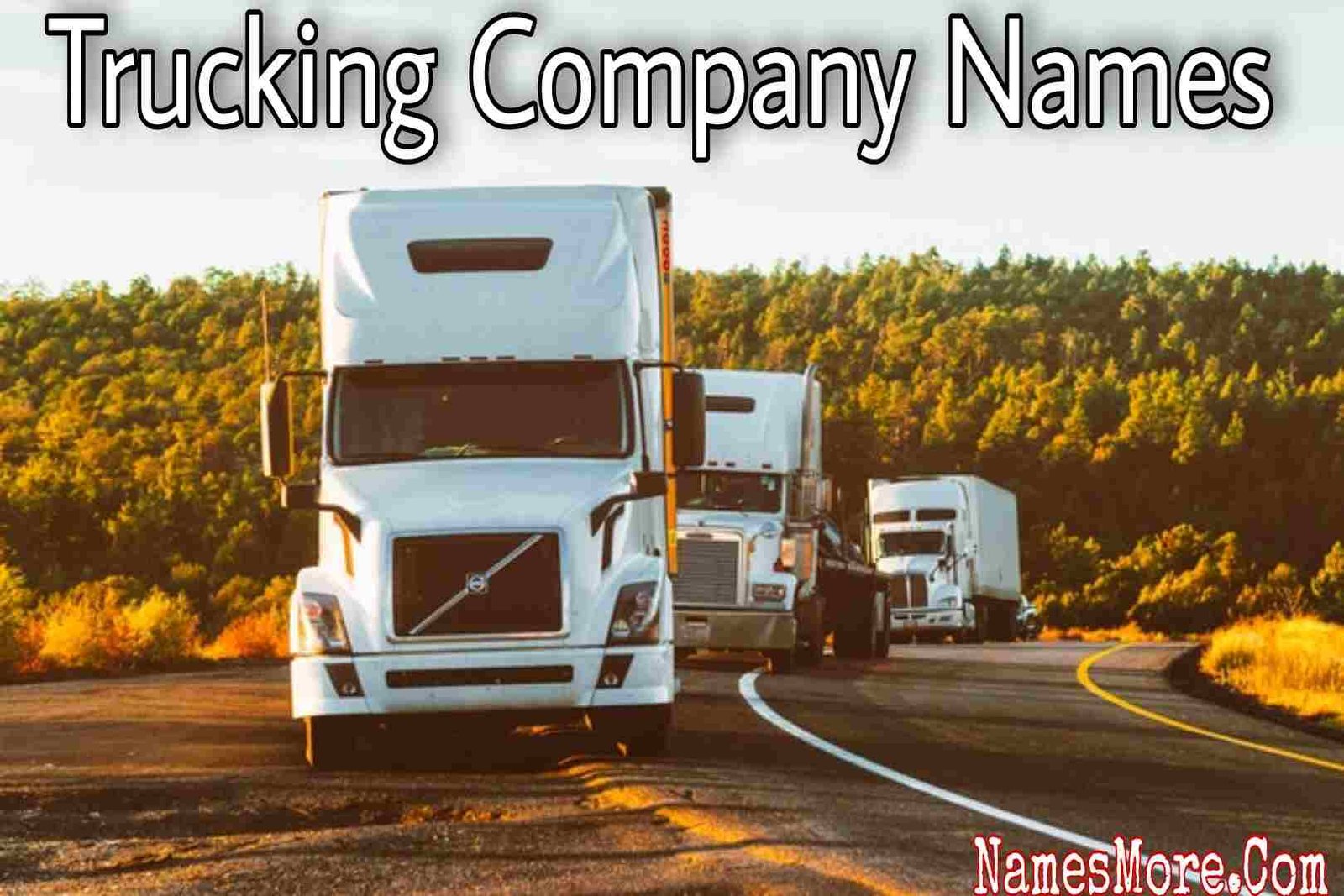 890 Trucking Company Names Cool Catchy 